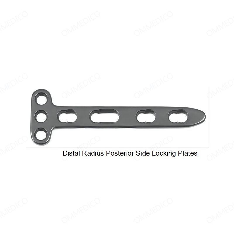 Radius locking plate-Distal Radius Posterior Side Locking Plate